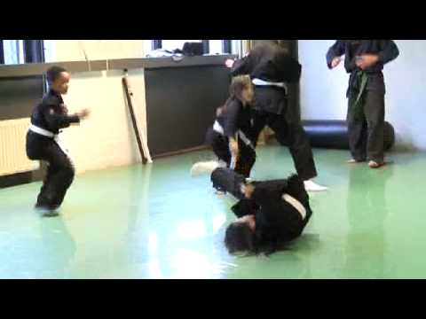 Jissen Kobudo Jinenkan - YouTube
