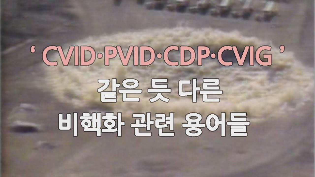 [짭짤영상] CVID·PVID·CDP·CVIG…같은 듯 다른 비핵화 관련 용어들 - YouTube