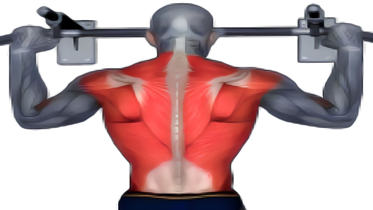 7 Exercises To Build Bigger Back | Complete Back Workout - YouTube