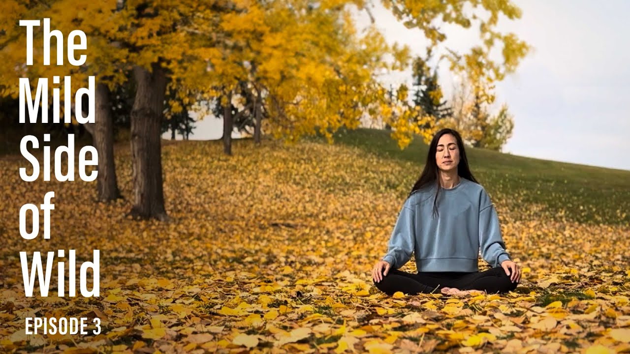 The Mild Side of Wild S1 Ep 03 - YouTube