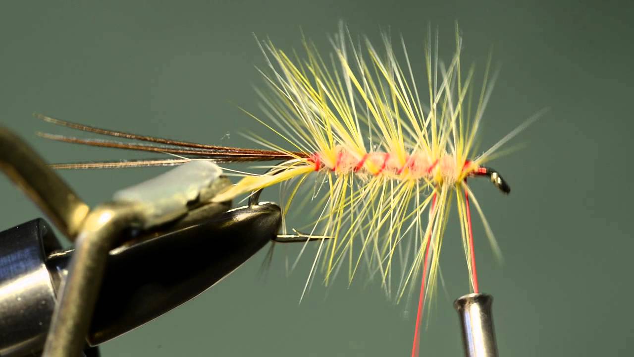 Peter Gathercole ties Cathal Rush's Red-rib Mayfly - YouTube