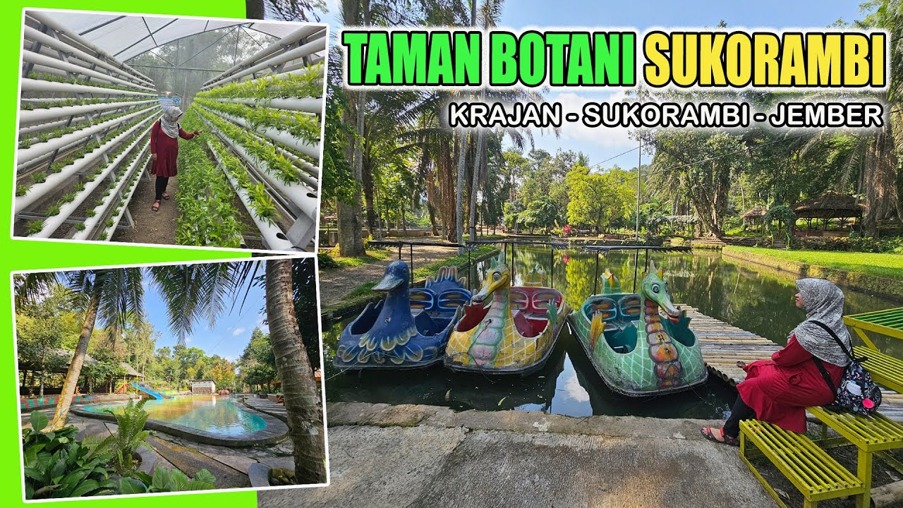 Taman Botani Sukorambi I Tempat Rekreasi sekaligus Edukasi I Krajan ...
