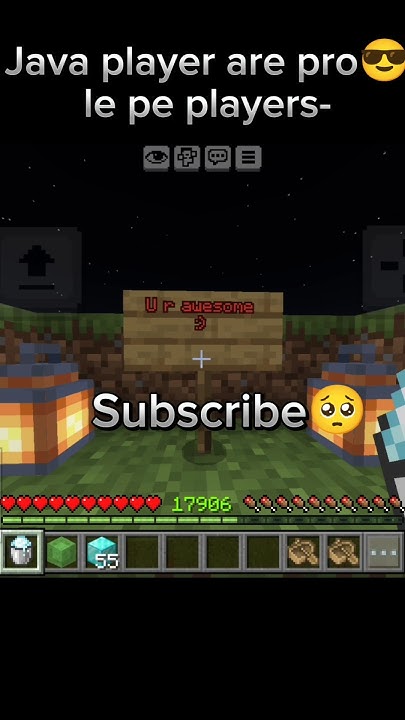 Java players are pro😎, le mcpe players..... - YouTube