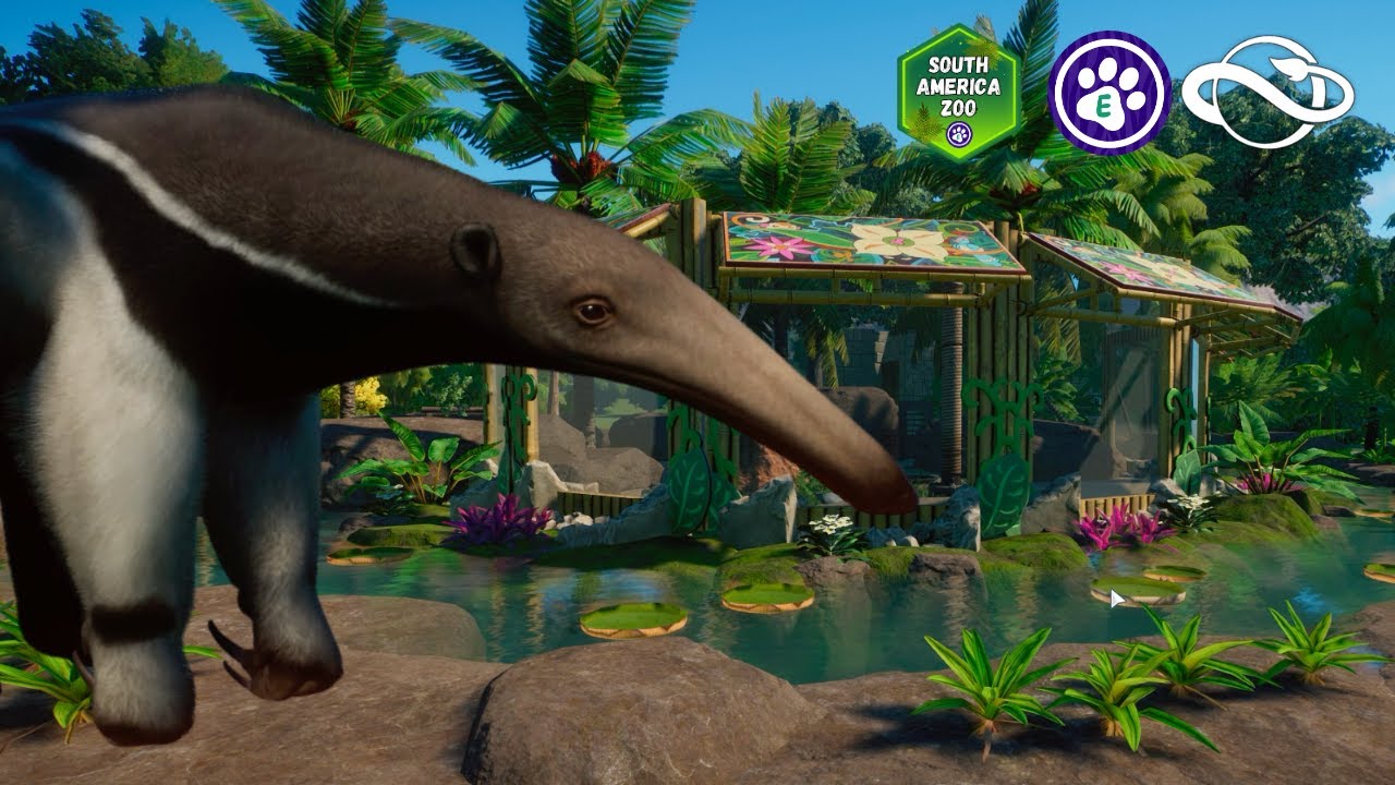🐜 Building a Giant Anteater Habitat | South America Zoo | Planet Zoo ...