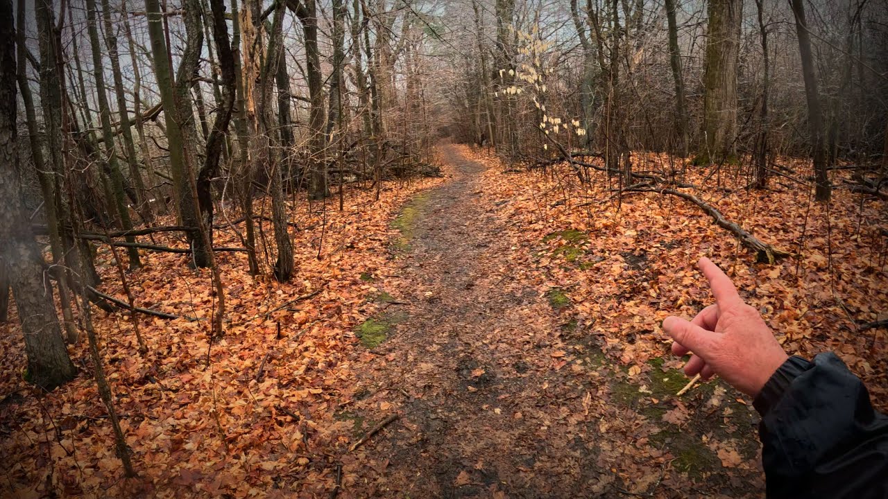 A Cold Boring Walk… - YouTube