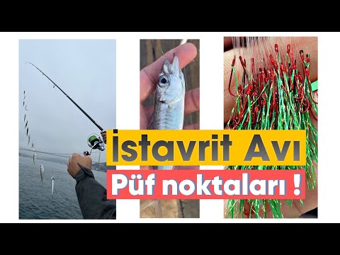 Çapari ile İstavrit Avı NASIL YAPILIR ? ( Uygulamalı Anlatım )
