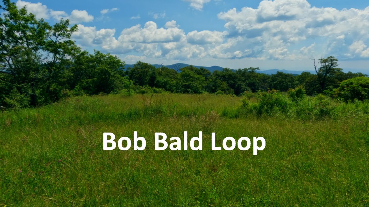 Bob Bald Loop - YouTube