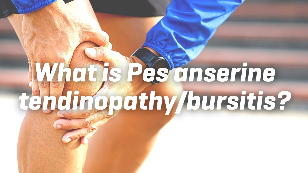 What is Pes anserine tendinopathy/bursitis? - YouTube