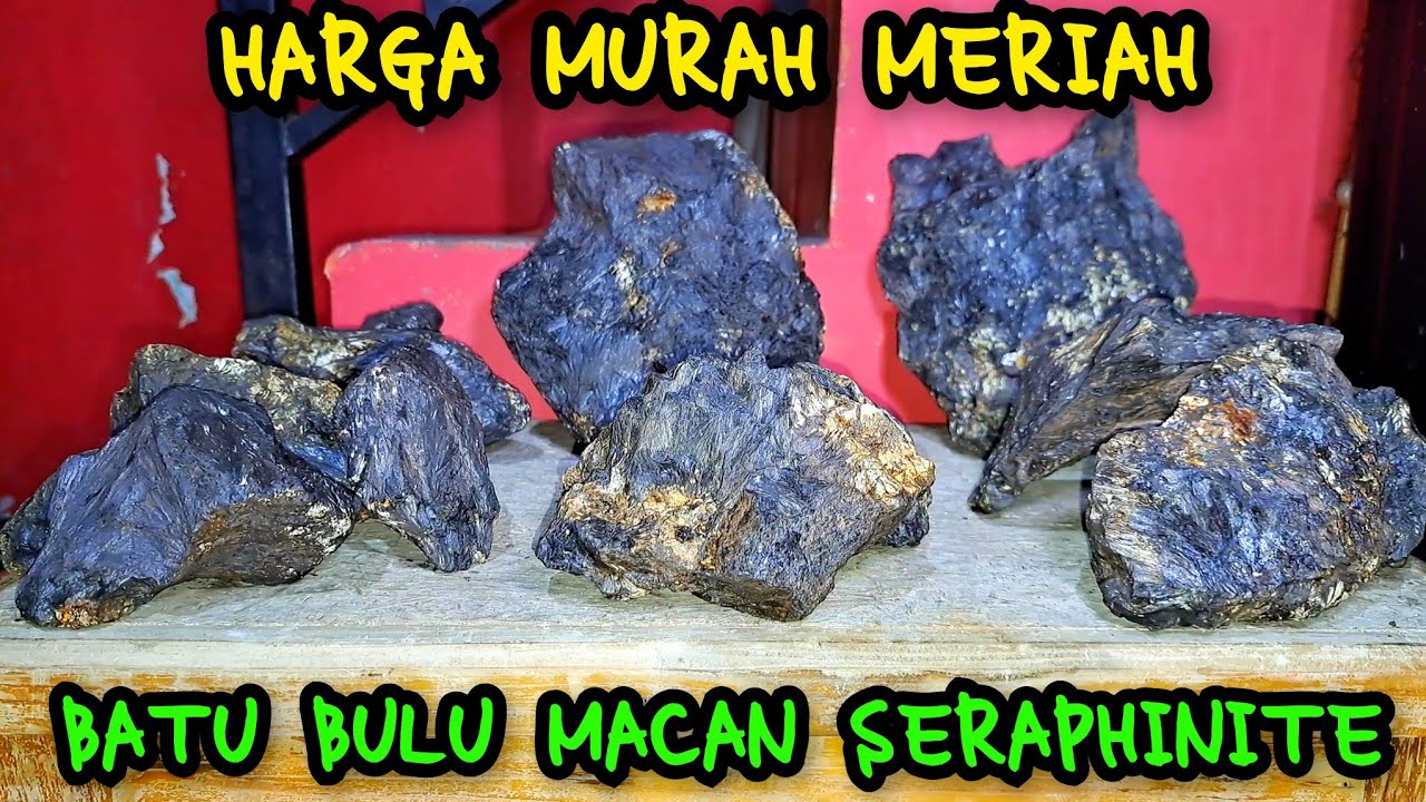 BATU BULU MACAN HARGA MURAH WA 085781995551 - YouTube
