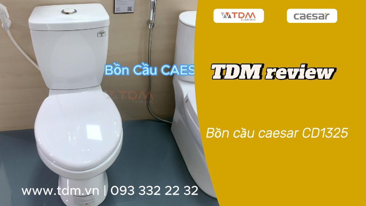 TDM.VN | Review bồn cầu Caesar CD1325 thùng T1225 2 nhấn nắp thường - YouTube