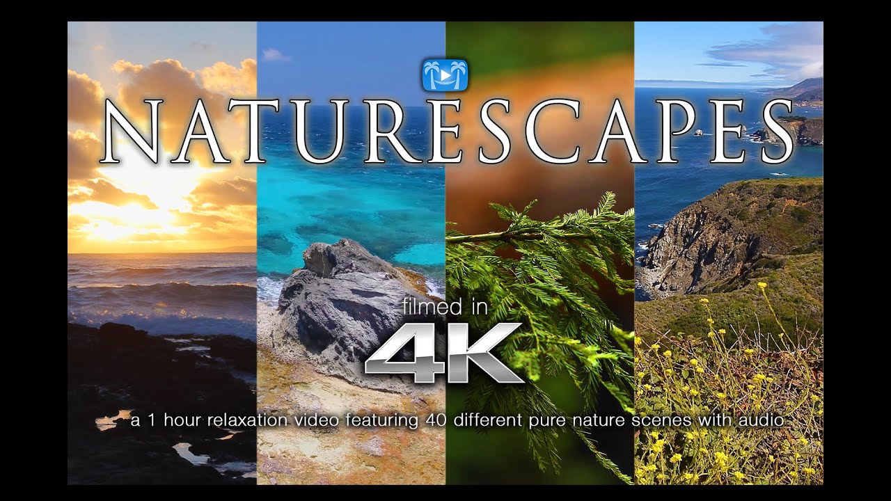 40 NATURESCAPES IN 4K | 1 HR Nature Relaxation™ Video - YouTube