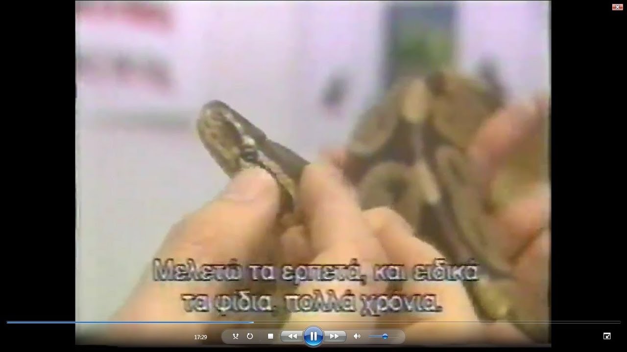 Holy Snakes of the Virgin Mary (English Documentary) ΤΑ ΦΙΔΑΚΙΑ ΤΗΣ ...