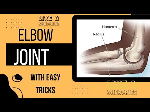 Elbow joint: Bones ,Muscles &Movement -Human Anatomy |@Anatomywithdrfaiza - YouTube