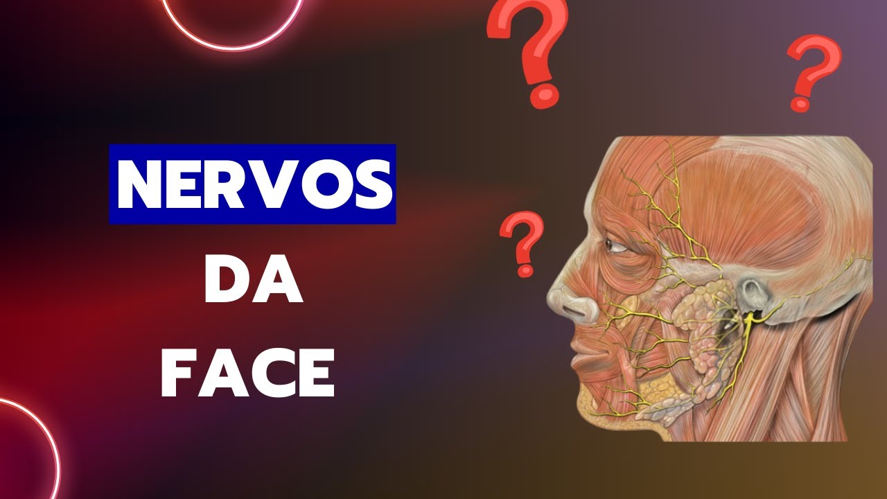 Nervos da Face: Estruturas e Funções Essenciais para a Harmonização ...