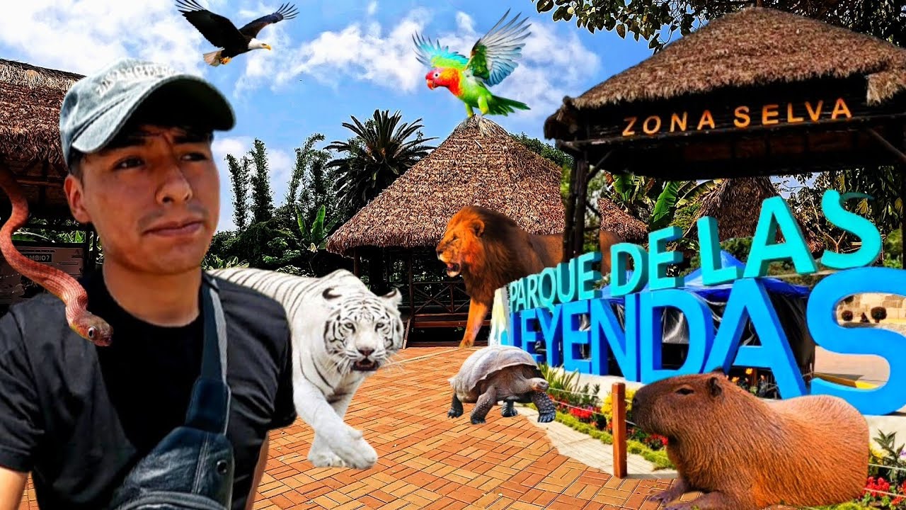 🐢EXPLORE el PARQUE de ANIMALES EXOTICOS mas GRANDE de LATINOAMERICANA ...