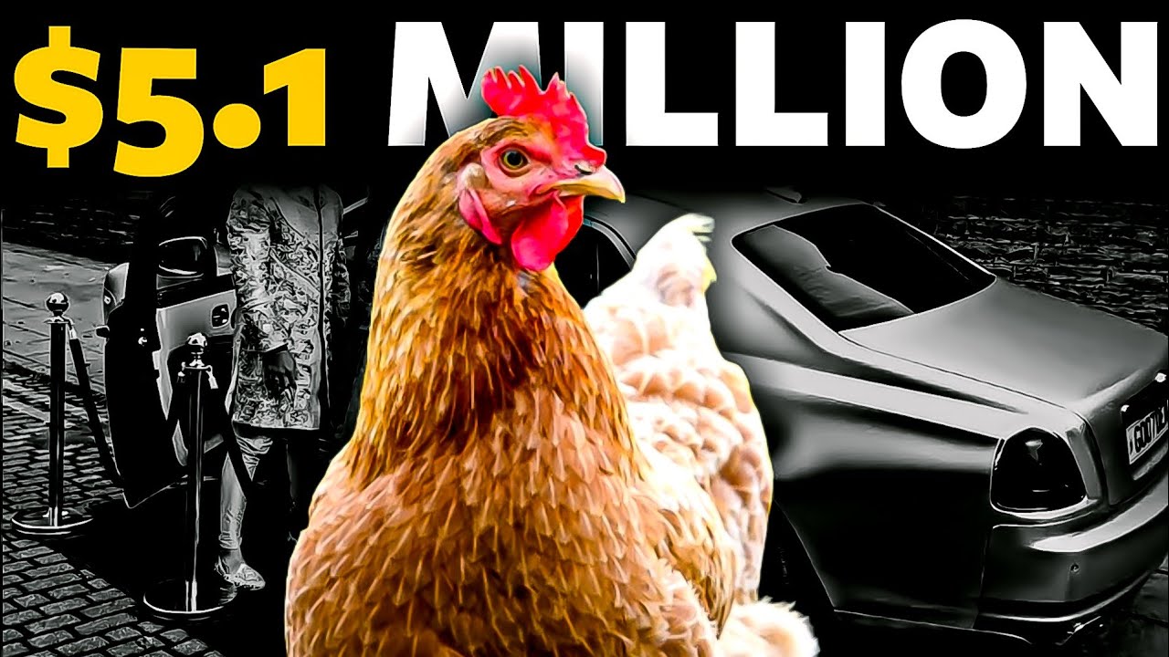 Top 5 richest animal in the world. - YouTube