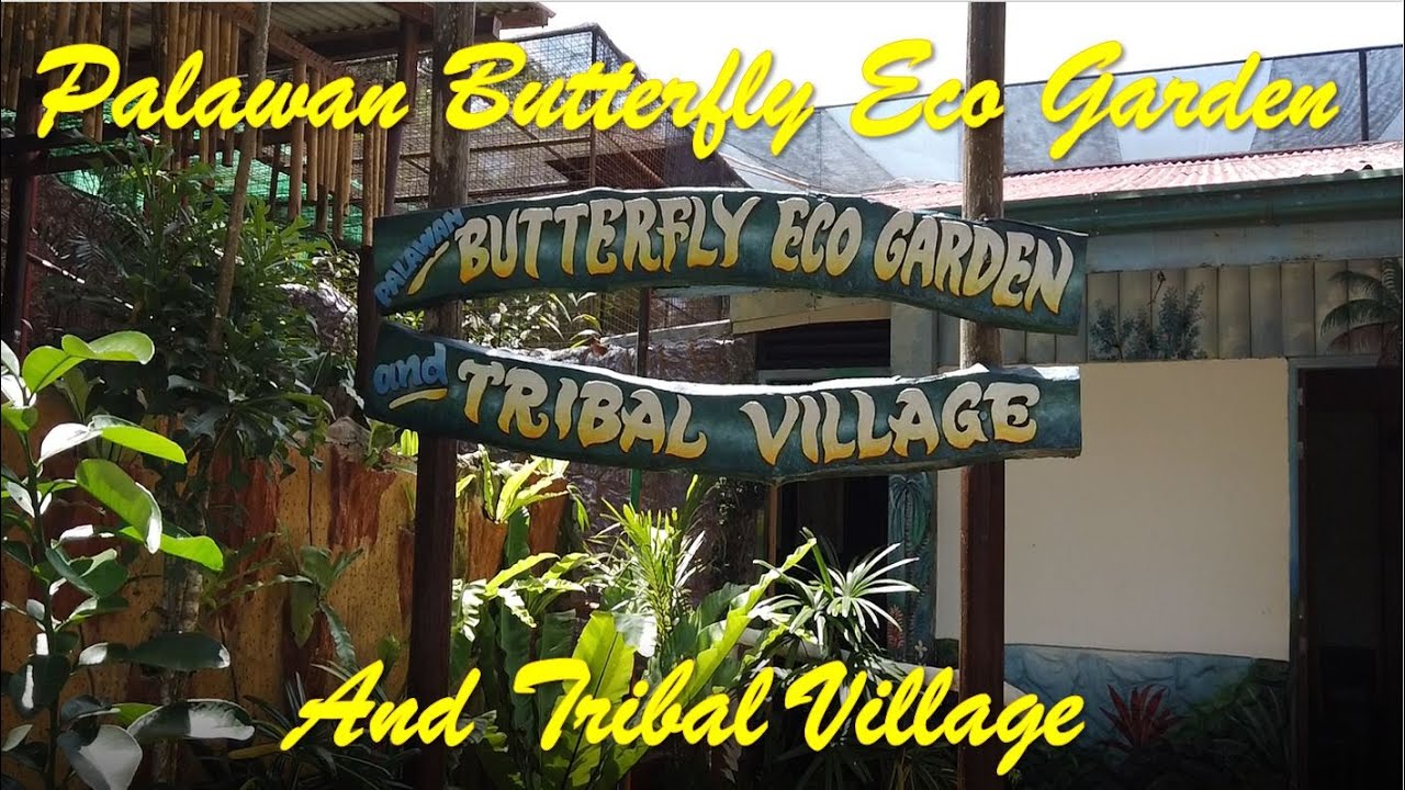 Palawan Butterfly Eco Garden and Tribal Village 🇵🇭 - YouTube