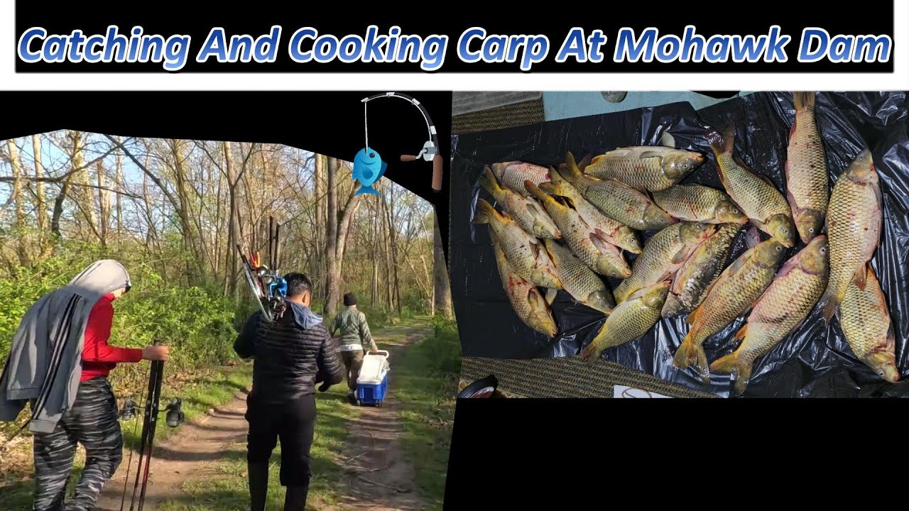 Fishing for Carp and Catching and Cooking it (OHIO) - YouTube