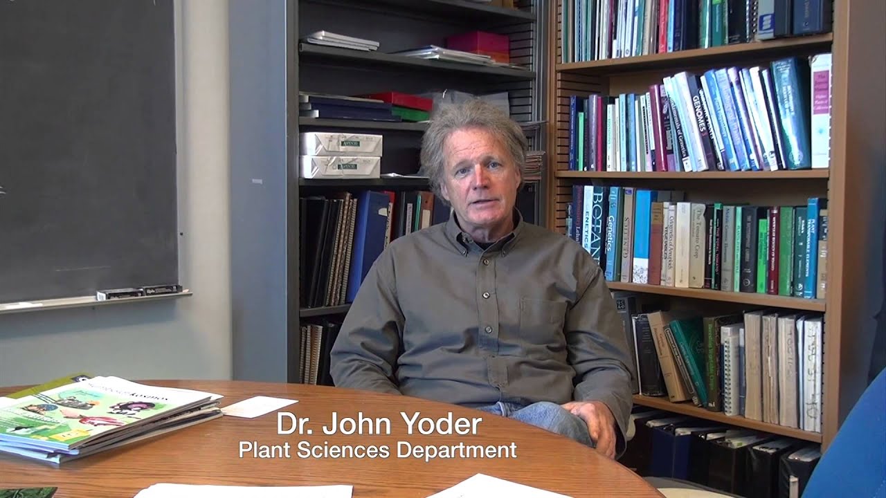 John Yoder- What do you look for in an Undergraduate Researcher? - YouTube