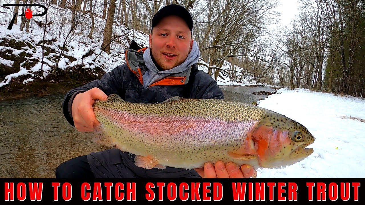 How To Catch Stocked Winter Trout - YouTube