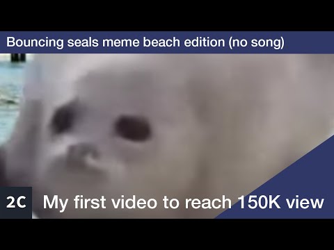 Bouncing seals meme beach edition (no song) - YouTube