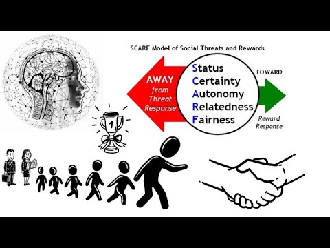 SCARF Model by David Rock | Neuroscience | Improving Employee ...