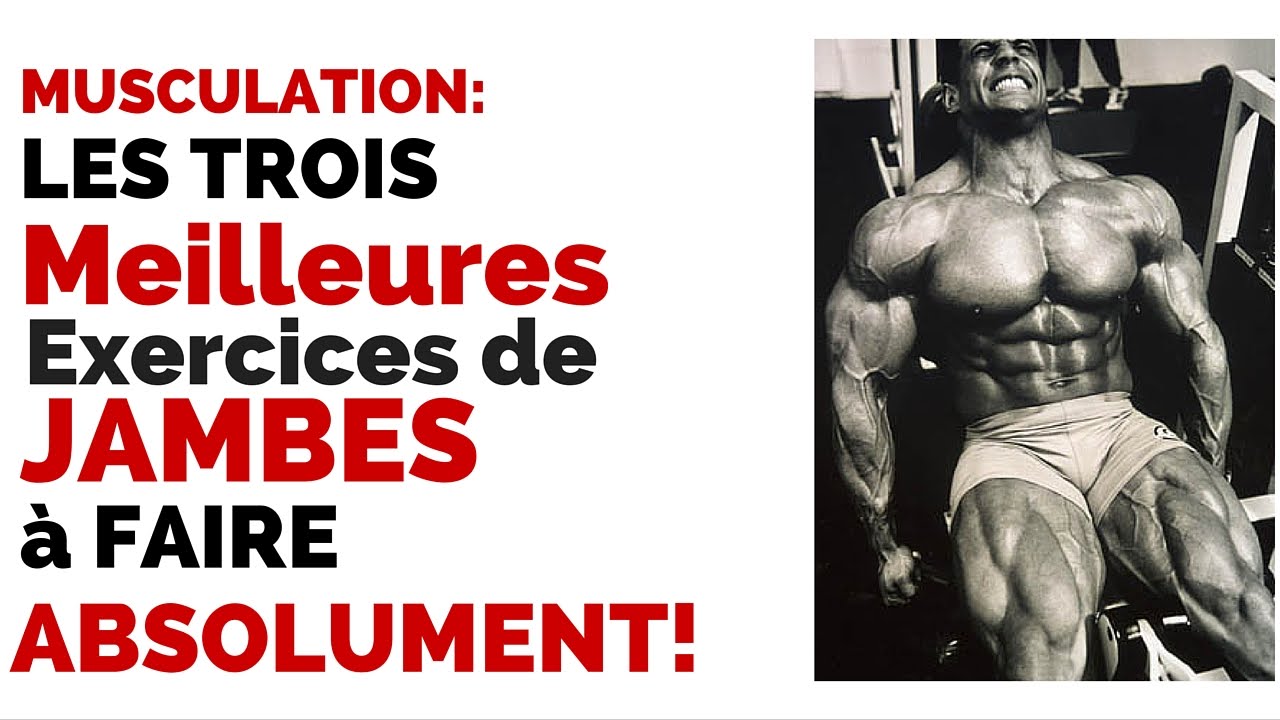 Musculation: Les 3 Meilleurs Exercices de Jambes à Faire Absolument ...