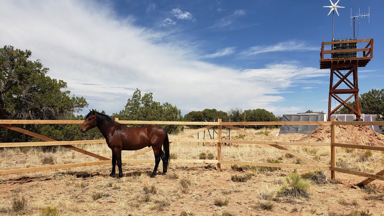 DIY Round Pen For Horses - YouTube
