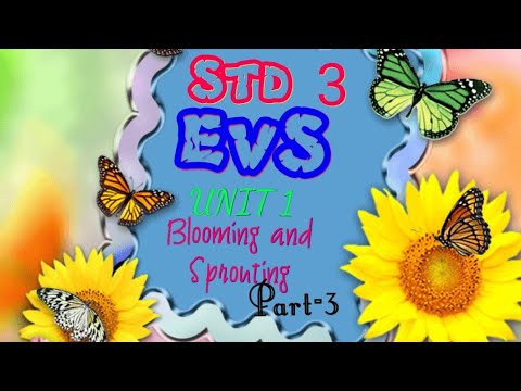 Std-3 EVS Unit-1 Blooming and Sprouting Part-3, Class 3 evs, std 3 evs ...