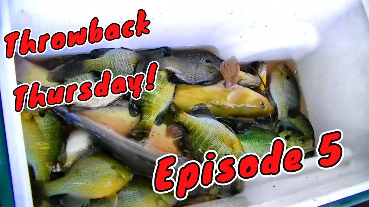 Throwback Thursday Episode (5) Fishing the Wateree River! - YouTube