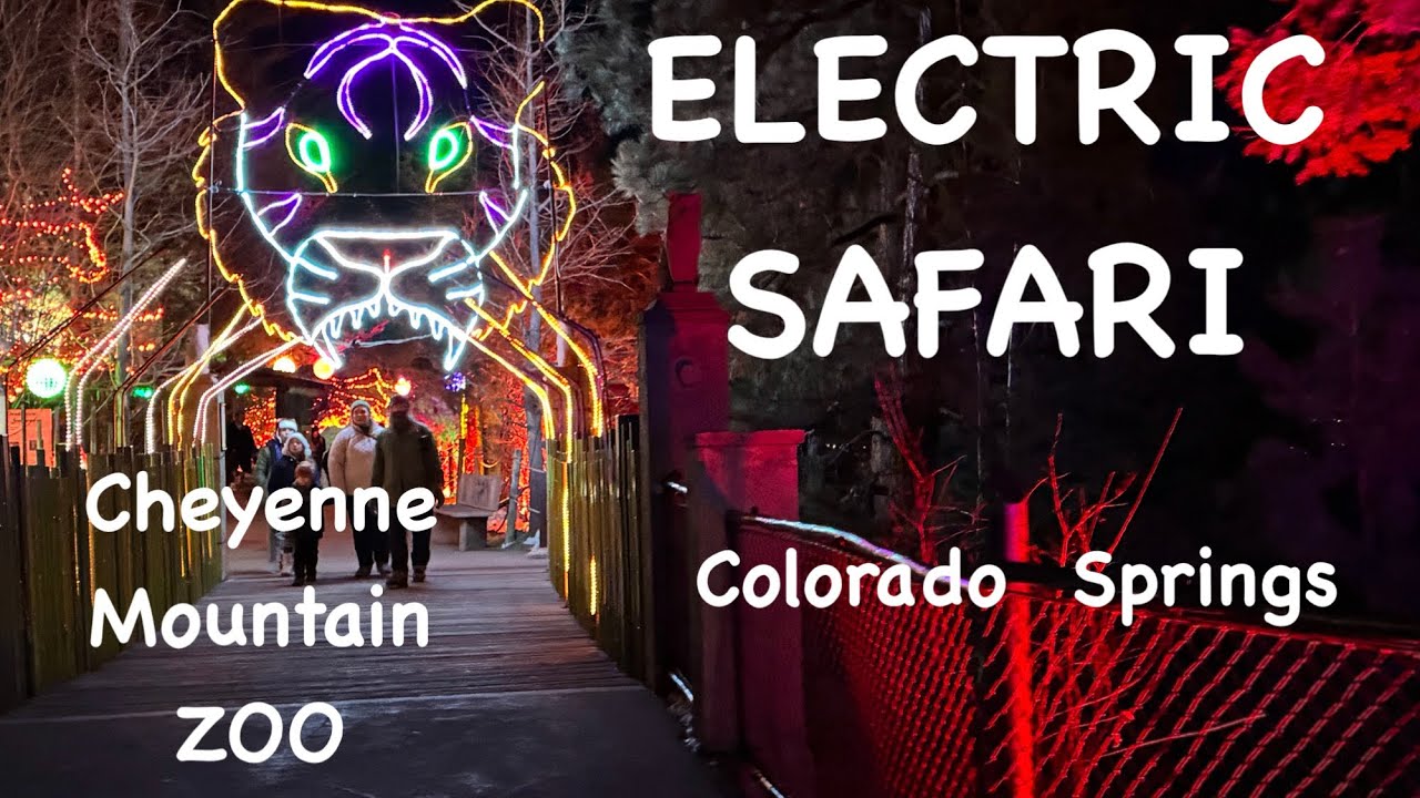 COLORADO SPRINGS ZOO CHRISTMAS LIGHTS | ELECTRIC SAFARI | CHEYENNE ...