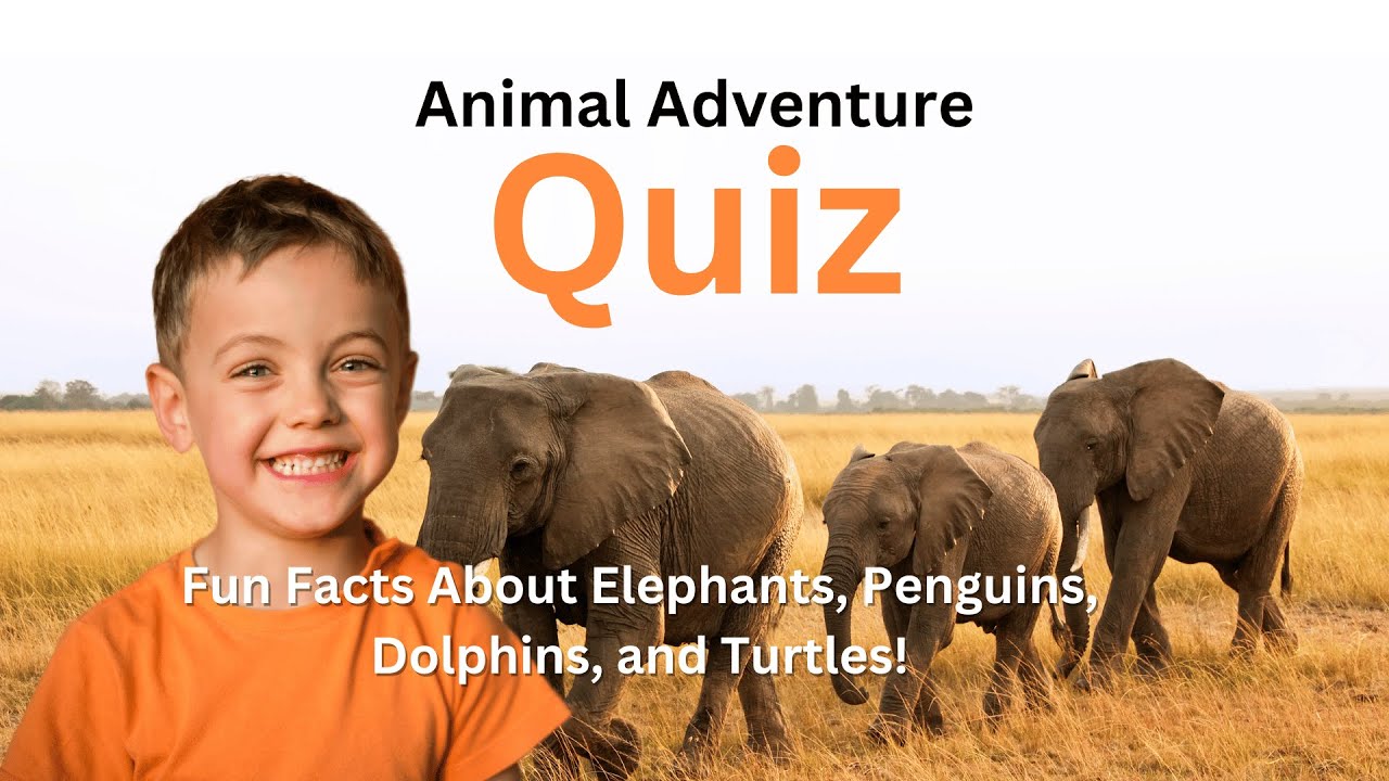 Animal Quiz Adventure: Fun Facts About Elephants, Penguins, Dolphins ...