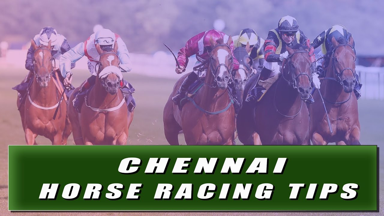 CHENNAI HORSE RACING TIPS [28th OCTOBER 2023] - YouTube