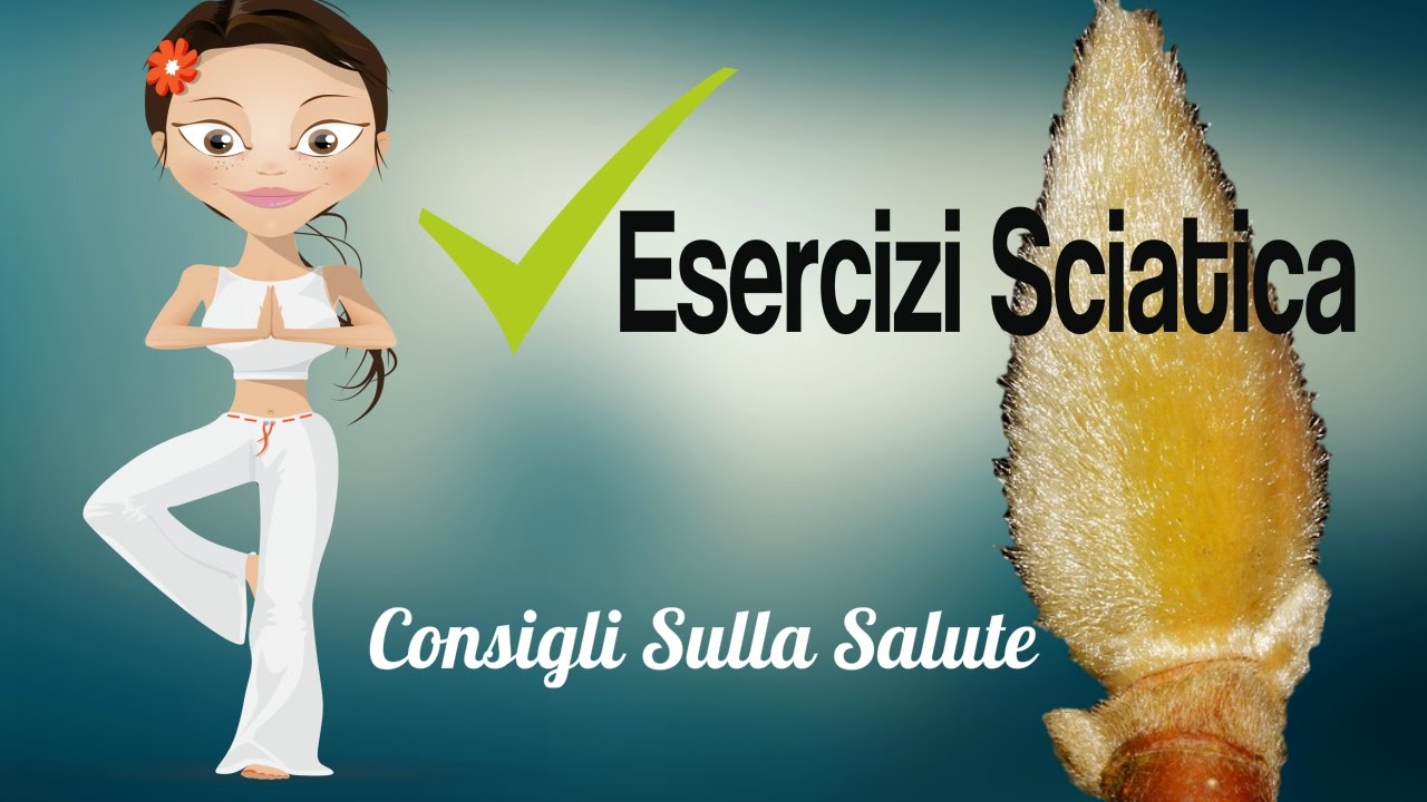 Esercizi Sciatica, Dove Si Trova Il Nervo Sciatico, Dolore Al Polpaccio ...