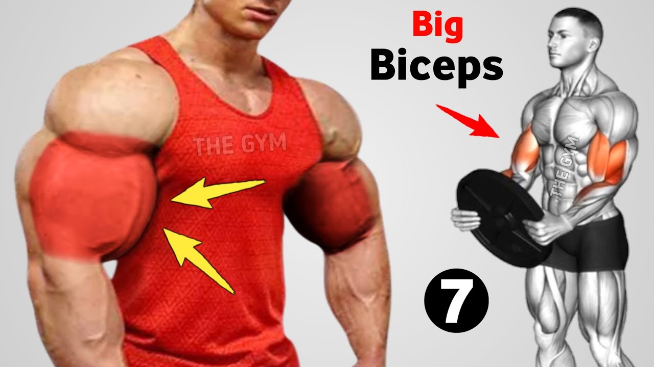 7 Biceps Workout at Gym for Beginners to Advanced - YouTube