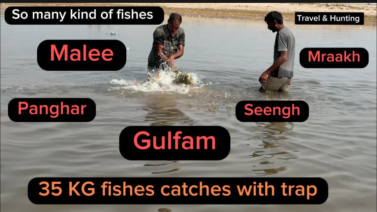 Fishing in Pakistan so many kind of fishes we catched with (jaal) trap ...