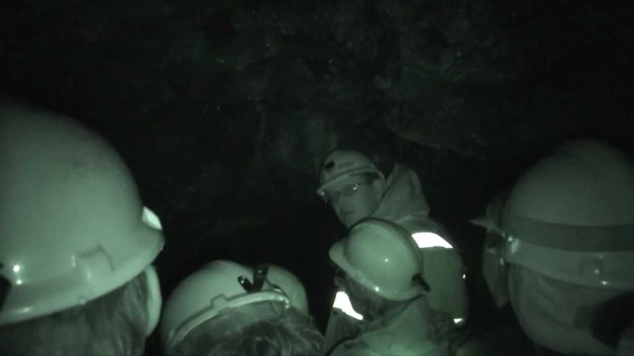 Apes Tor & Ecton Hill Field Meeting April 21. - YouTube