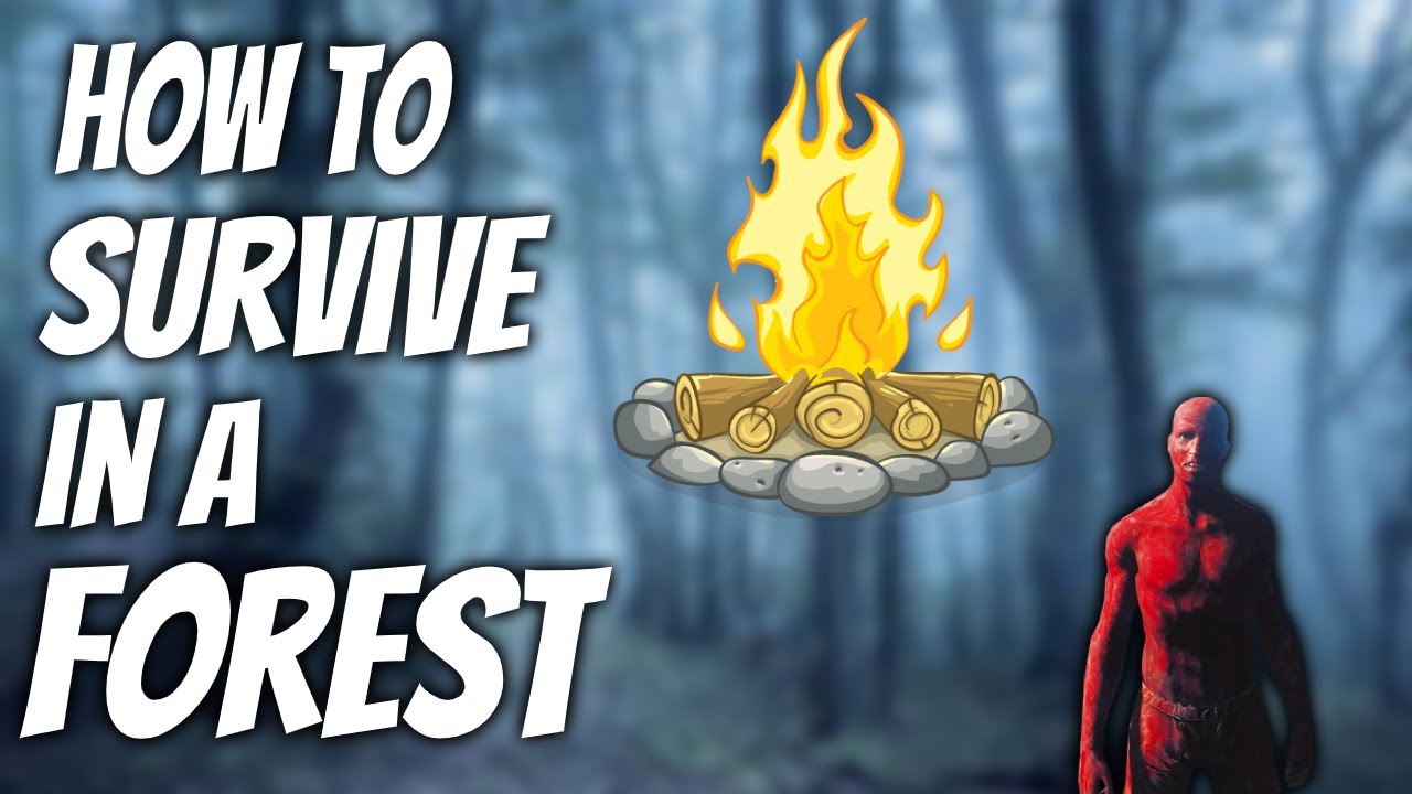 How to survive in a forest 101 - YouTube