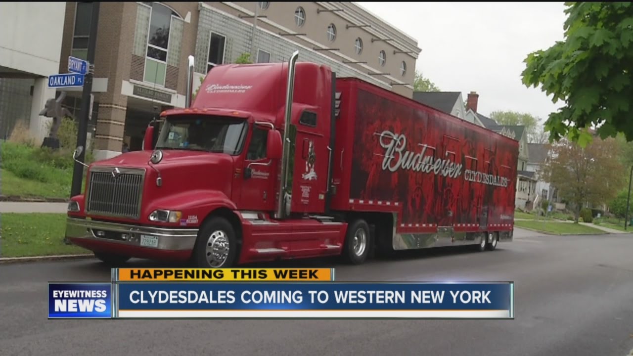 Budweiser Clydesdales Return - YouTube
