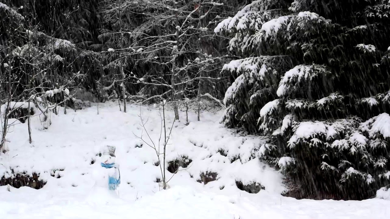 Snow is falling steadily on a snowman - a relaxing winter video - YouTube