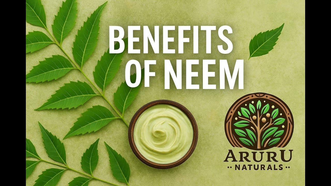 Benefits of Neem for Skin, Hair & Health 🌿 | Aruru Naturals | Natural ...
