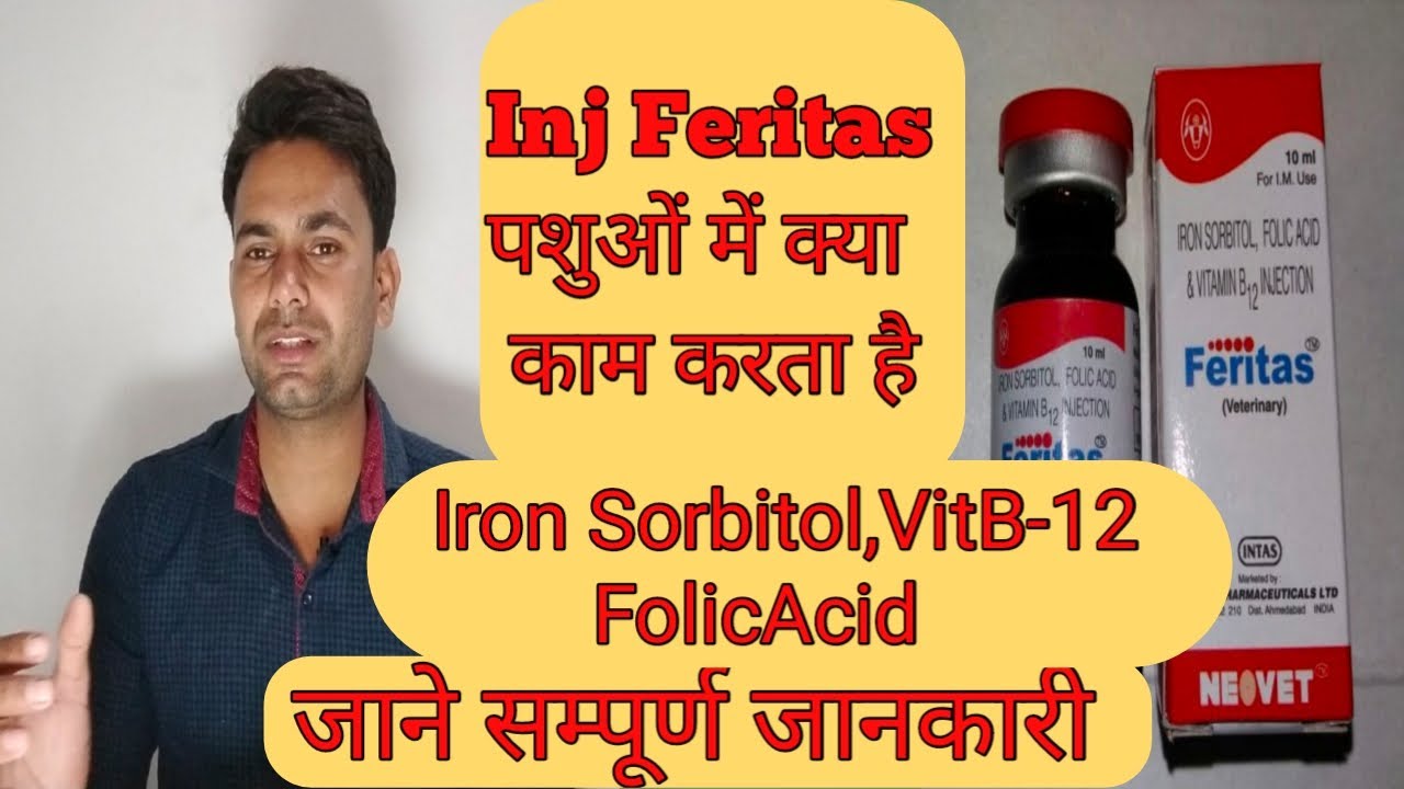 Inj feritas use in veterinary !! - YouTube