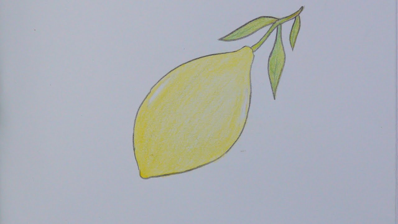 Menggambar dan mewarnai gambar lemon|| Drawing and coloring lemon ...