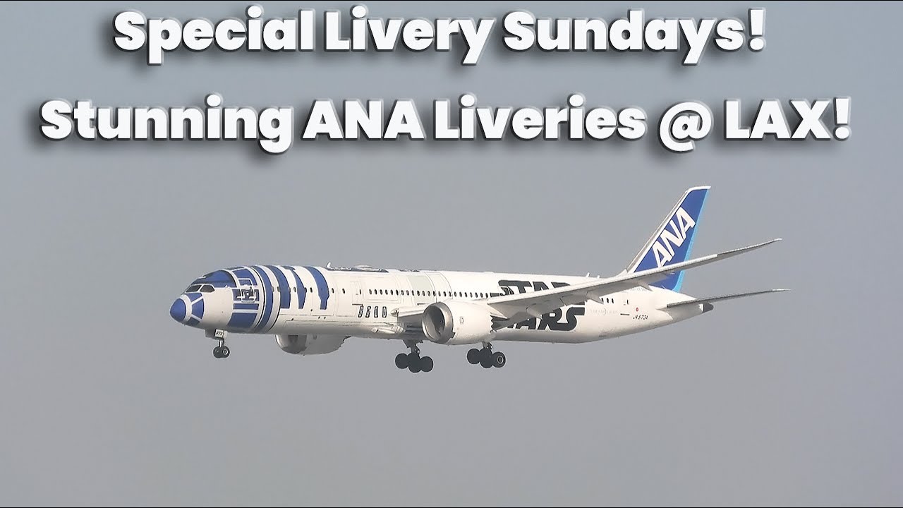 4K| Special Livery Stunning! Stunning ANA Special Liveries Dreamliners ...