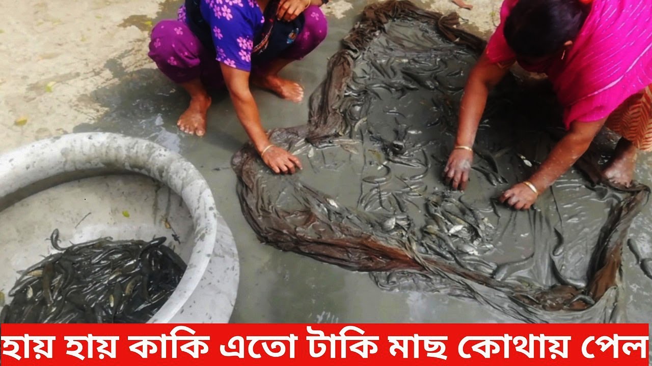 Lot Of Taki Fish Catcging In Village Bill | Fishing By Imran - YouTube