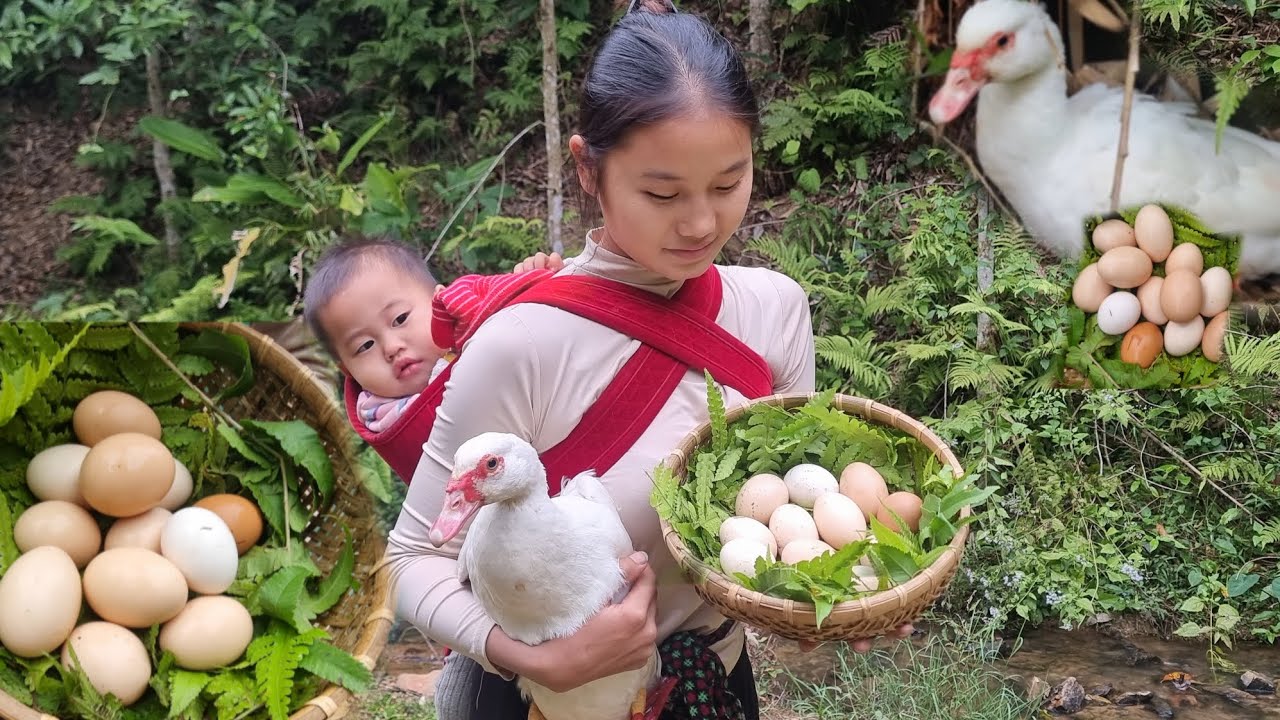 Mother and daughter went looking for the lost goose. - YouTube