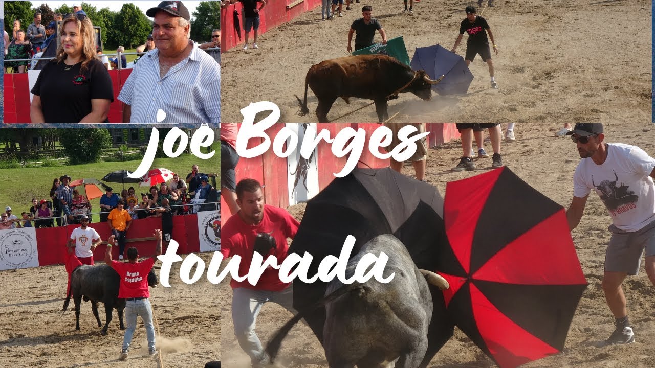 Ganadaria Joe Borges Canada (Toiro Rebenta e Corda)20-7-2024 - YouTube