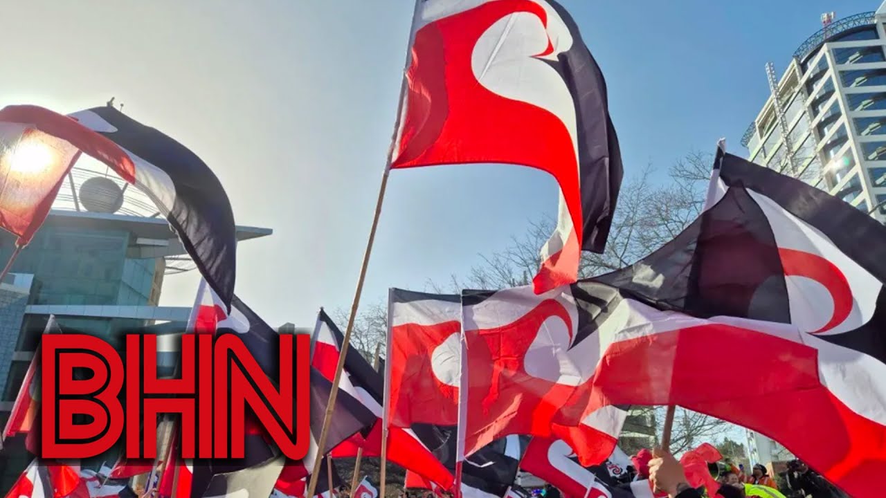 #BHN 23,000 submissions is still a LOT - YouTube