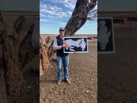 Cache Valley Virus - YouTube