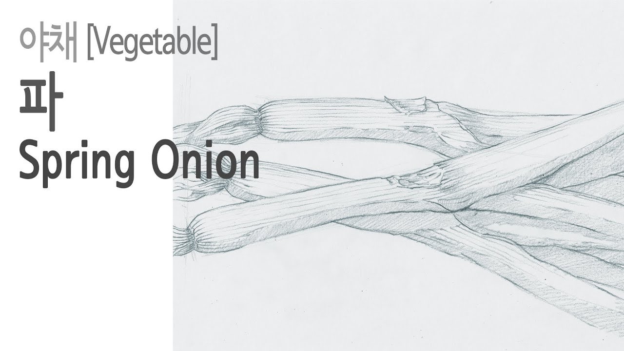 야채[Vegetable]04 - 파(Spring Onion) - YouTube